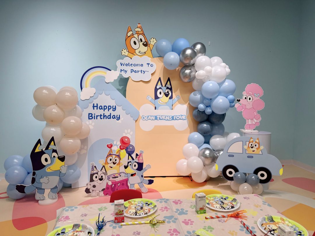 Party Room – Bluey – Small Room – Royal Magic Castle